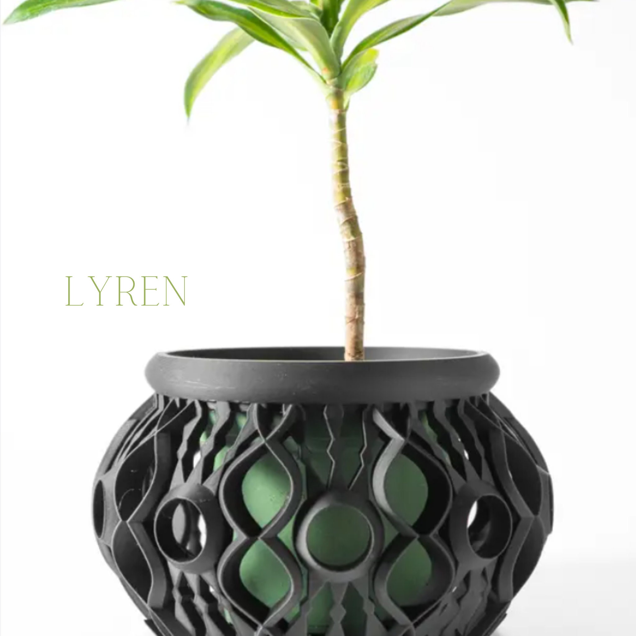 Lyren Hybrid Orchid Planter | Modern Home Decor Pot - Etsy