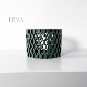 Erna Orchid Planter Pot Orchids Love Pots With Correct Drainage and ...