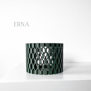 Erna Orchid Planter Pot Orchids Love Pots With Correct Drainage and ...