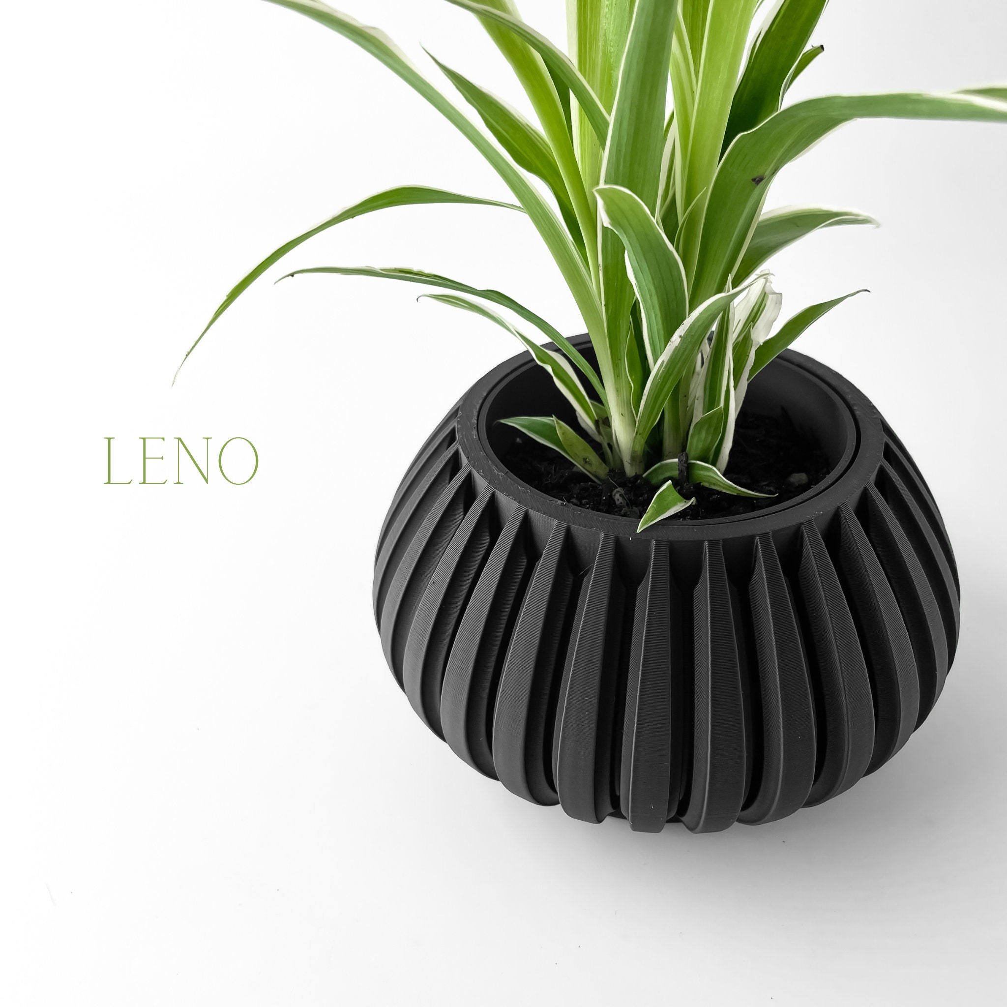 Leno Planter Pot: Modern Ridged Design, Succulent & Broad Leaf Plants ...