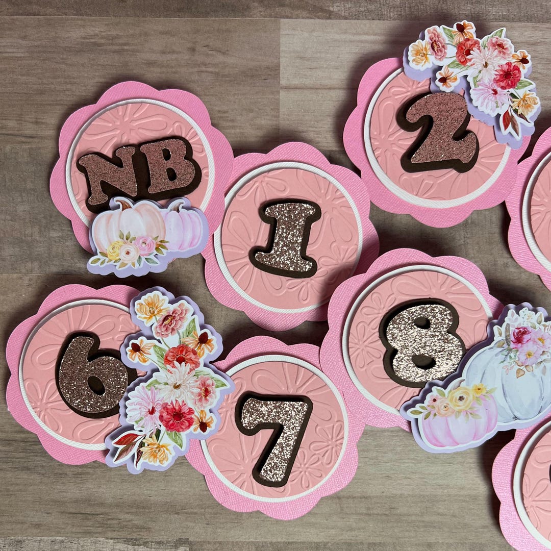 Little Pumpkin Milestone Photo Banner: Baby's First Year, Pink Cards - Etsy