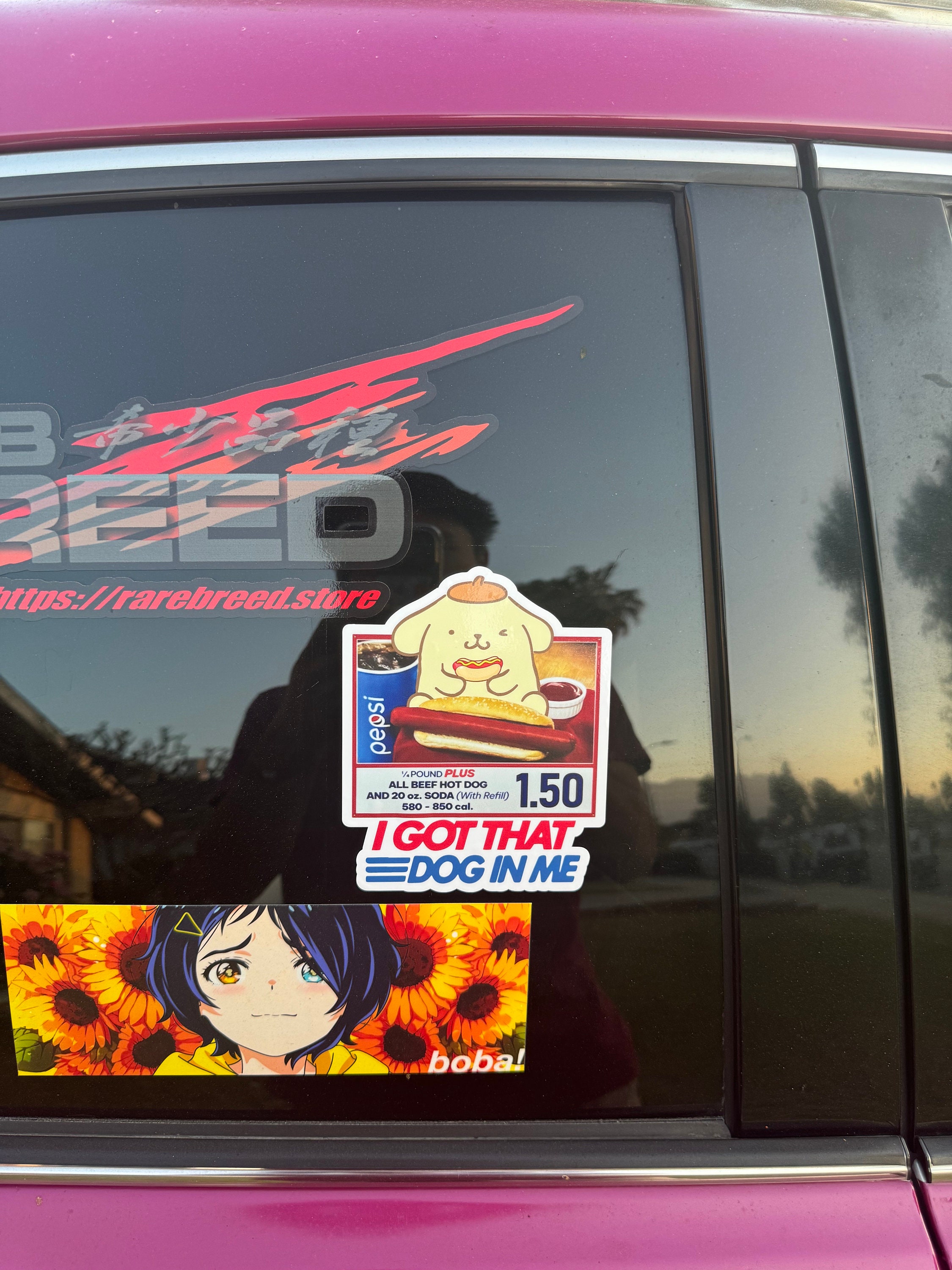 Pompompurin Costco Dog Sticker - Etsy