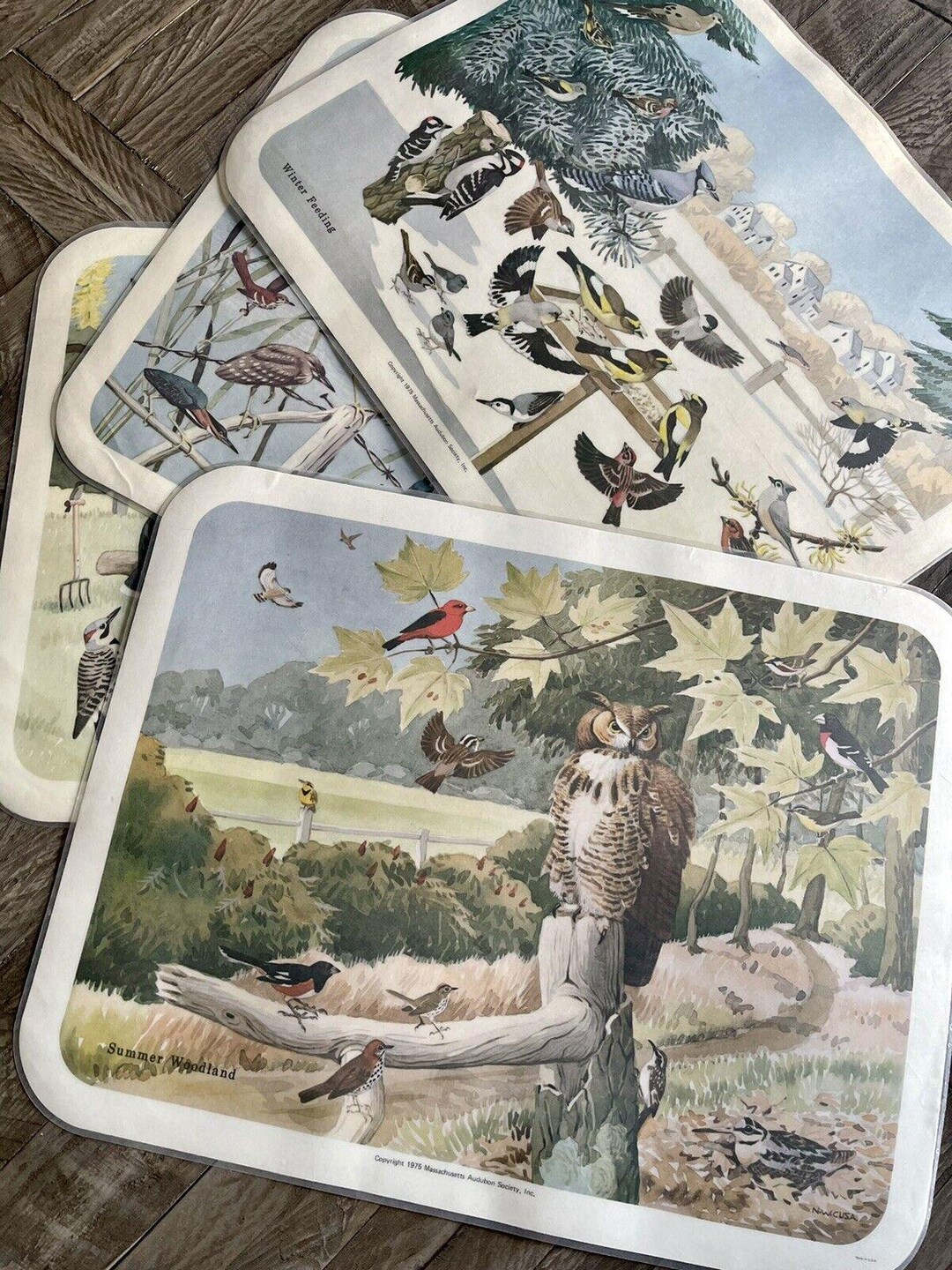 Rare 4 Droll Yankee Bird Guide Laminated Placemats Nw Cusa - Etsy