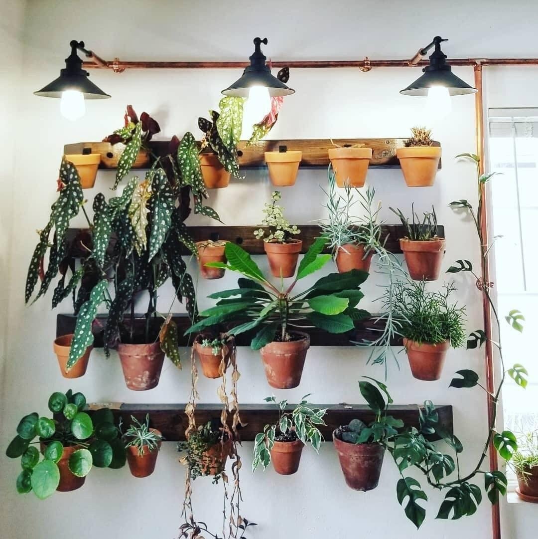 Plant Wall Pot Clips 10 Pack, Terra Cotta Pot Clips, Pot Mounting Clips ...