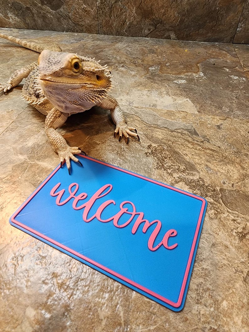 Bearded Dragon Welcome Mat - Etsy