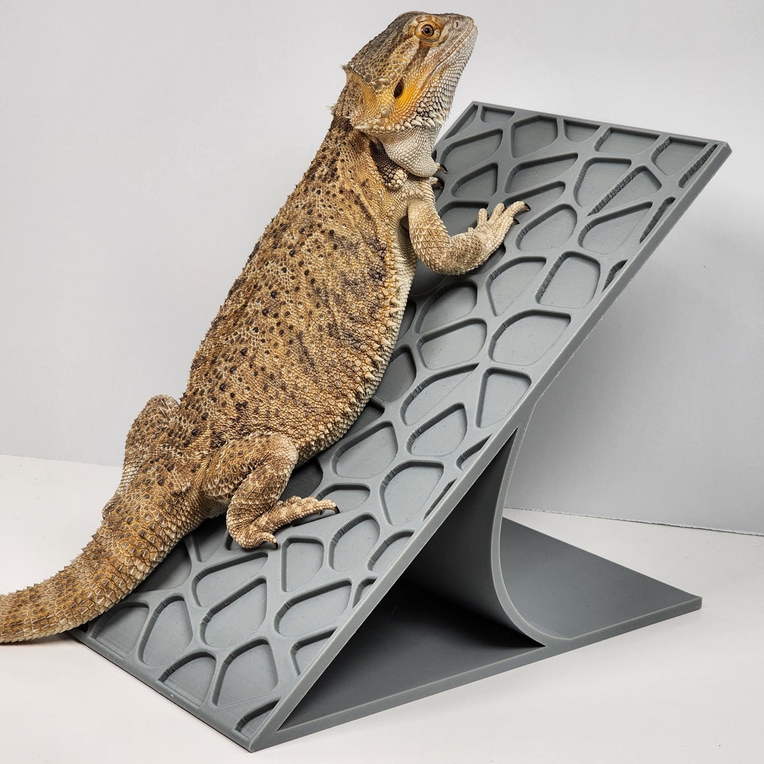 Bearded Dragon Basking Area | Rocky Basking Platform | Reptile ...