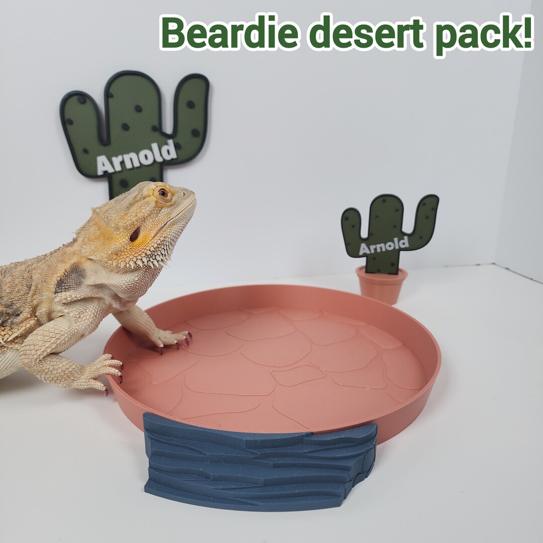 Bearded Dragon Desert Bath and Cactus Sign Kit | Beardie Reptile ...