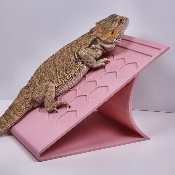 Dragon Accessories - Etsy