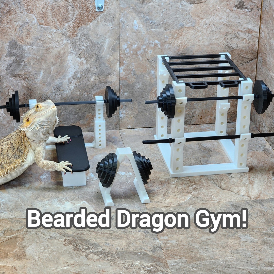 Home Gym Weightset for Bearded Dragons! Mini Bench Press, Weight Tree ...