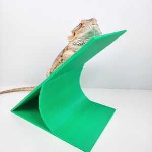 Bearded Dragon Basking Area | Large Grassy Basking Platform | Reptile ...