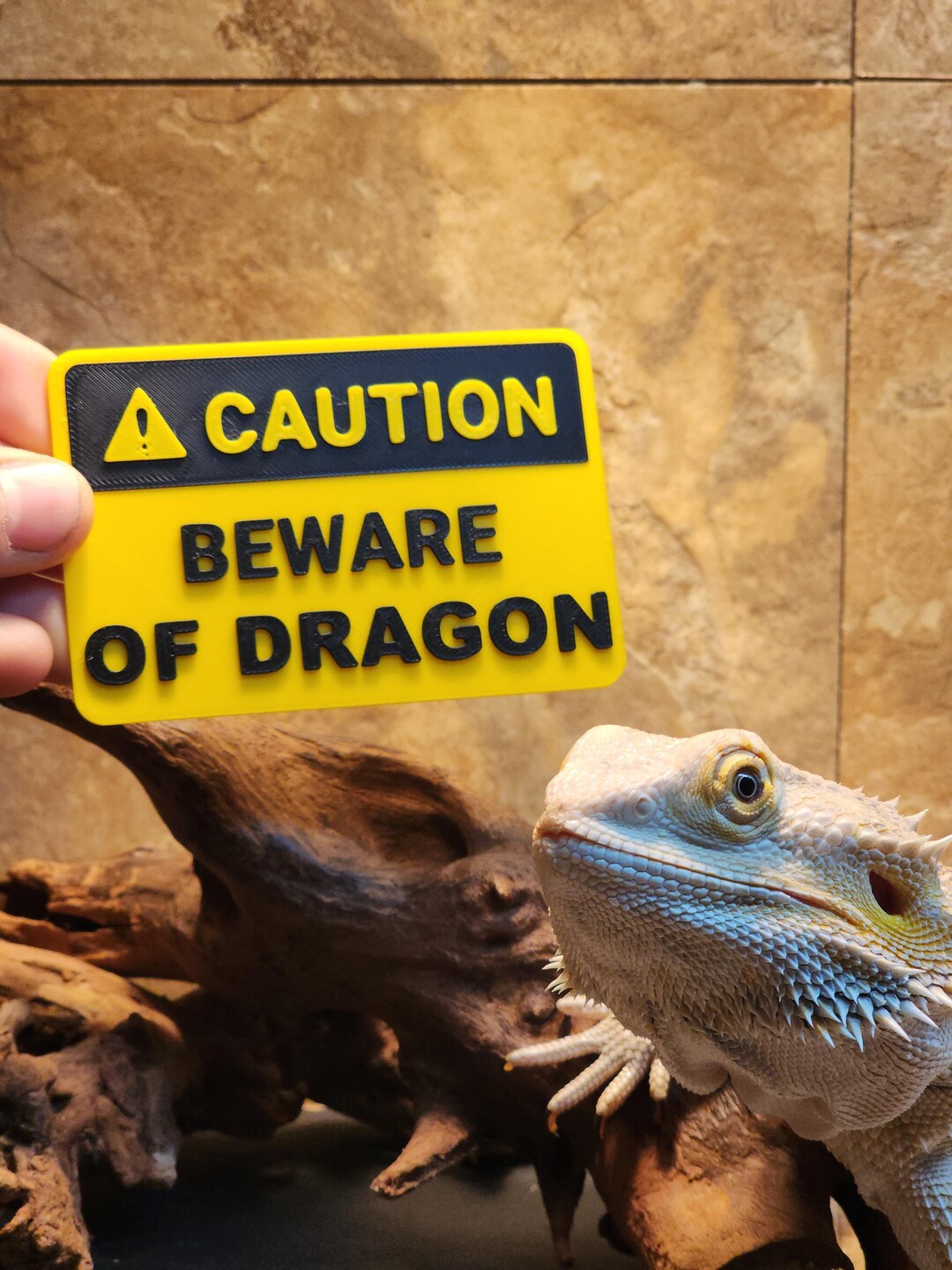 Bearded Dragon Emotional Support Dragon Sign - Etsy