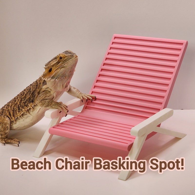 Dragon Lounge Chair - Etsy