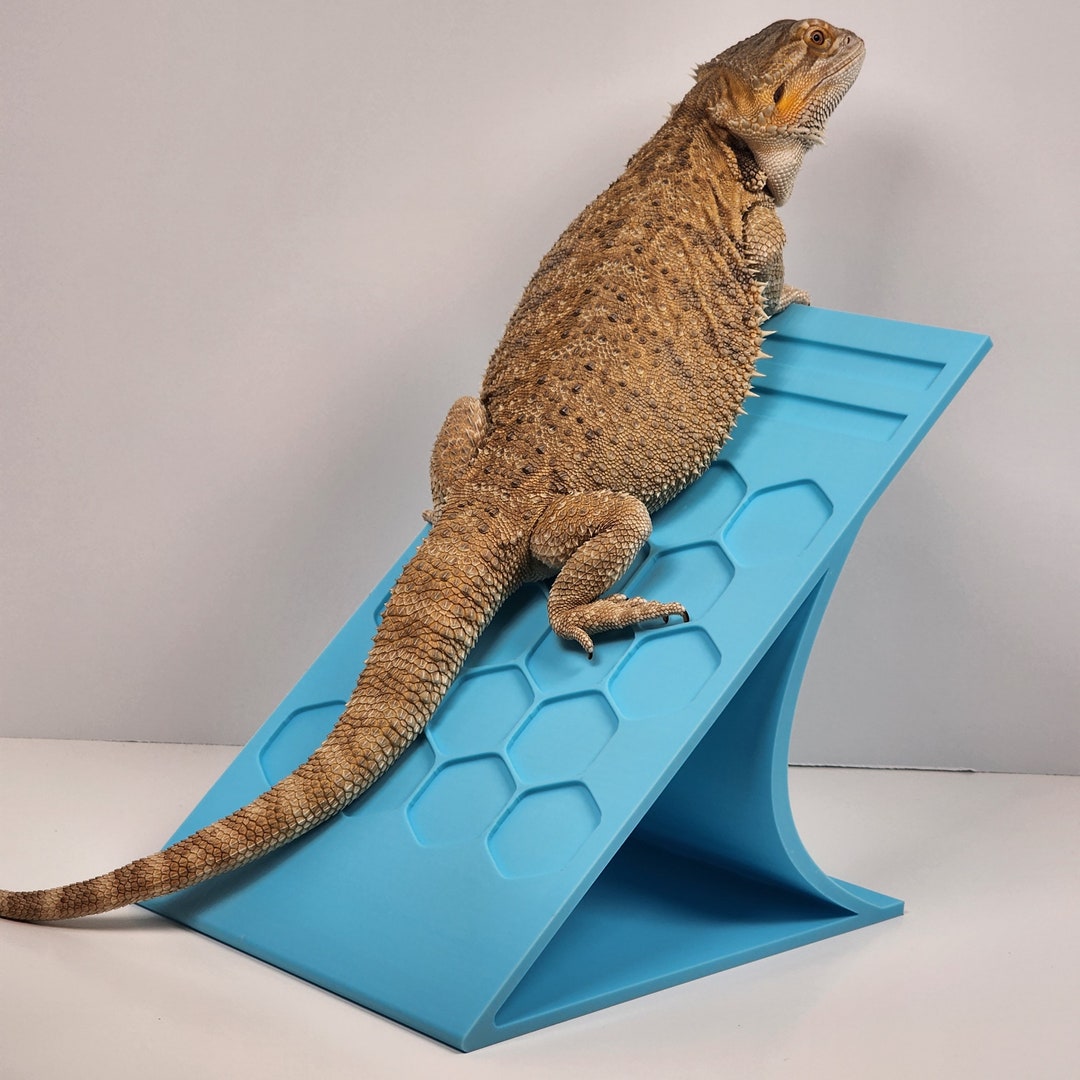 Bearded Dragon Basking Area | Tall Beardie Basking Platform | Reptile Decoration - Etsy