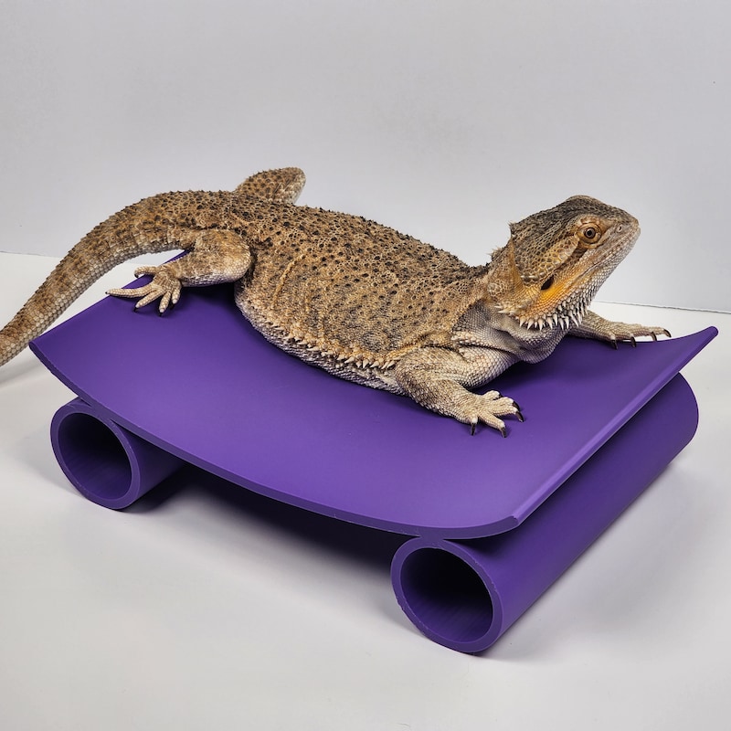 Dragon Lounge Chair - Etsy