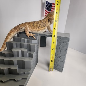 Bearded Dragon Corner Castle Basking Spot | Large Reptile Perch ...