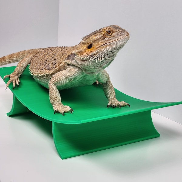 Dragon Lounge Chair - Etsy