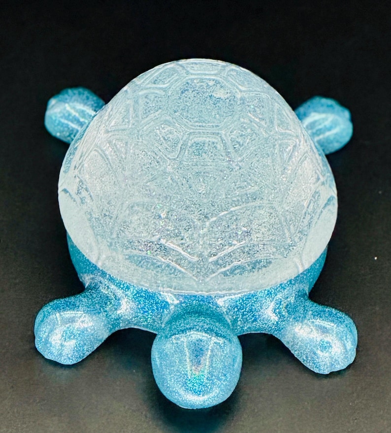 Adorable Sea Turtle Tray With Lid- Handmade Item-resin Decor - Etsy