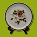 1970's Vintage Flower Dinner Plate Replacements Woodhaven and ...