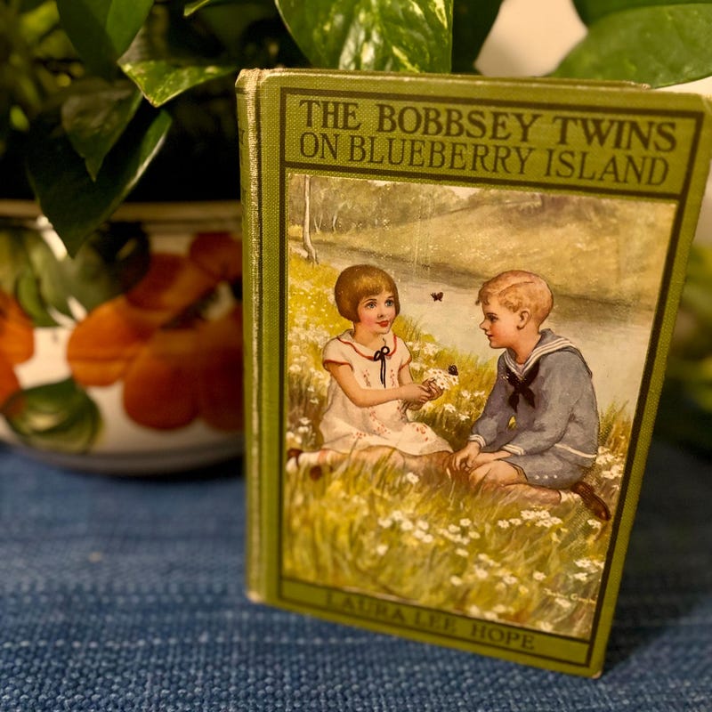 The Bobbsey Twins - Etsy