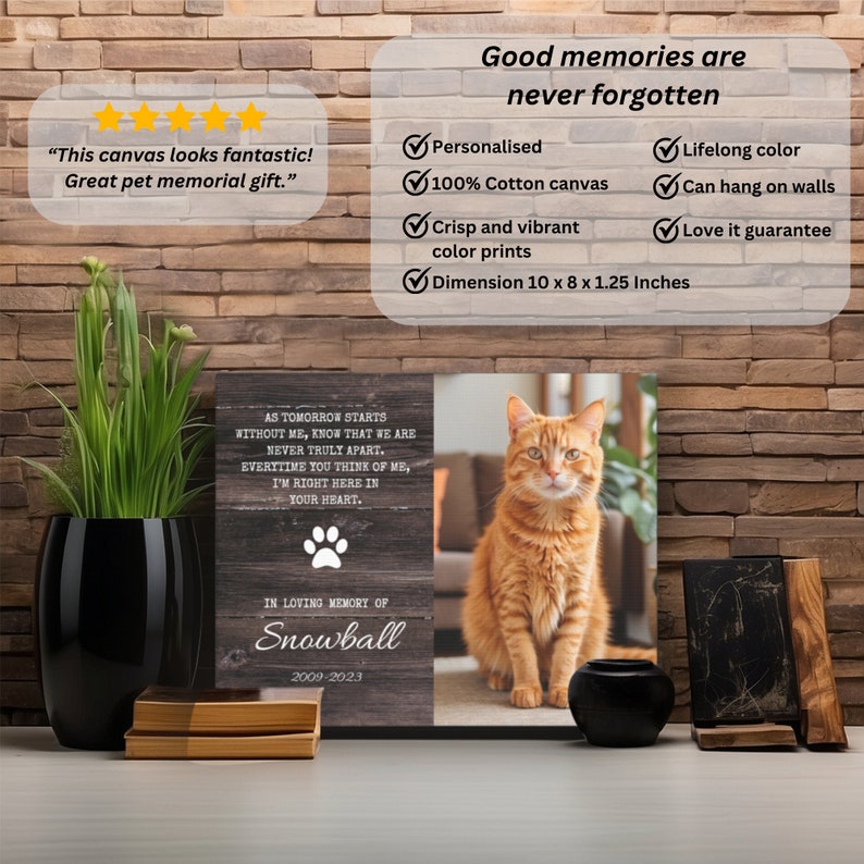 Custom Cat Memorial Gift Personalized Pet Memorial Gift Cat Loss Gift ...