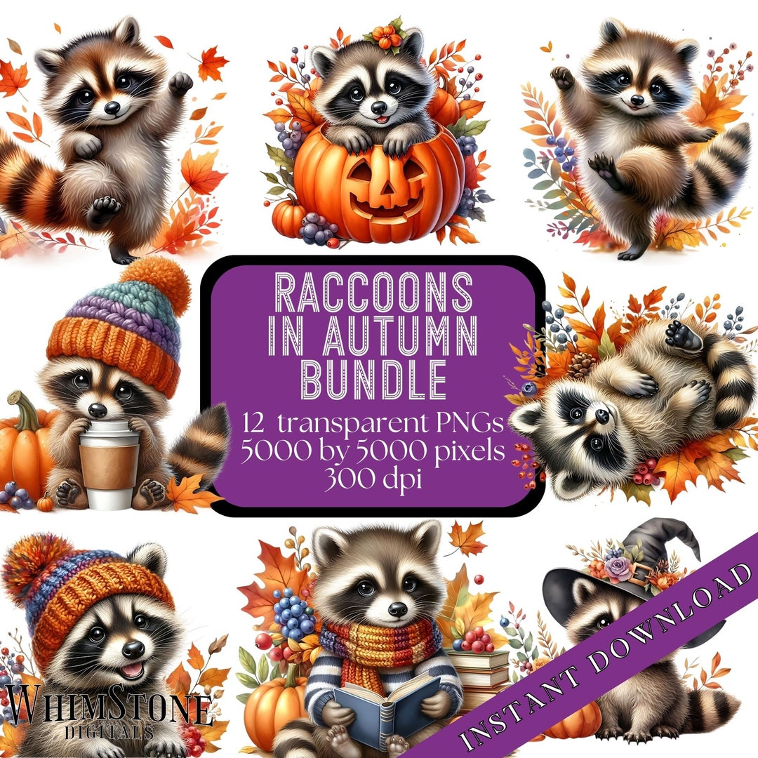 Racoons in Autumn Clipart Bundle, Autumn PNG Bundle, Fall Raccoons Pngs ...
