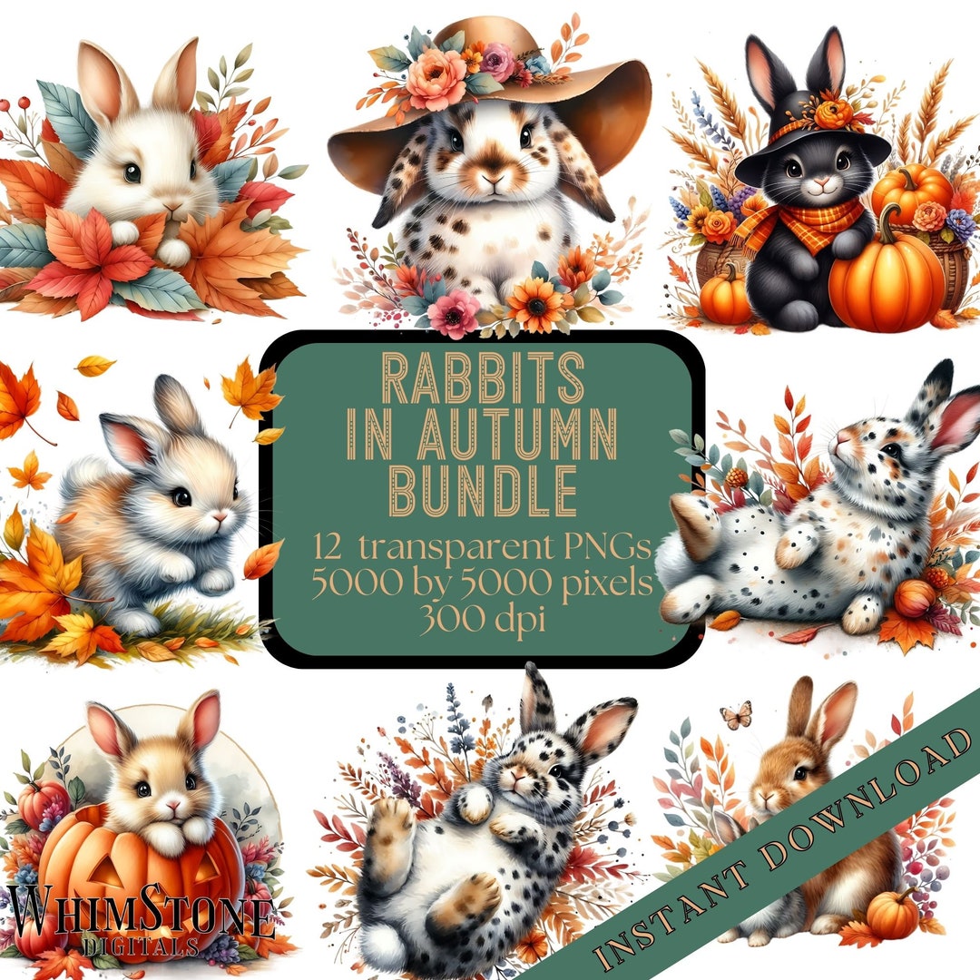 Rabbits in Autumn Clipart Bundle, Autumn PNG Bundle, Fall Bunnies Pngs ...