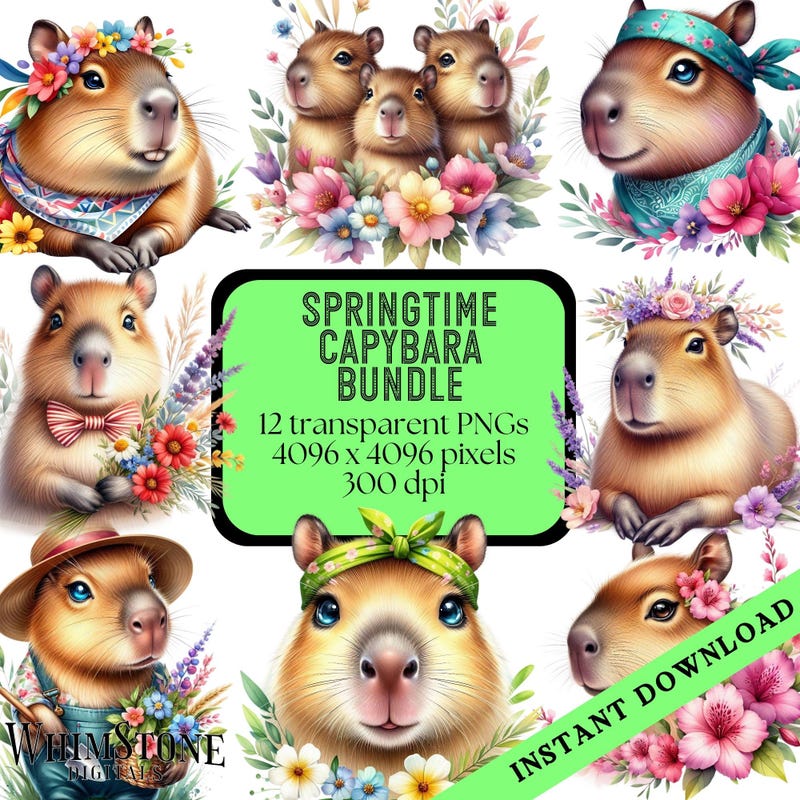 WhimStoneDigitals - Etsy