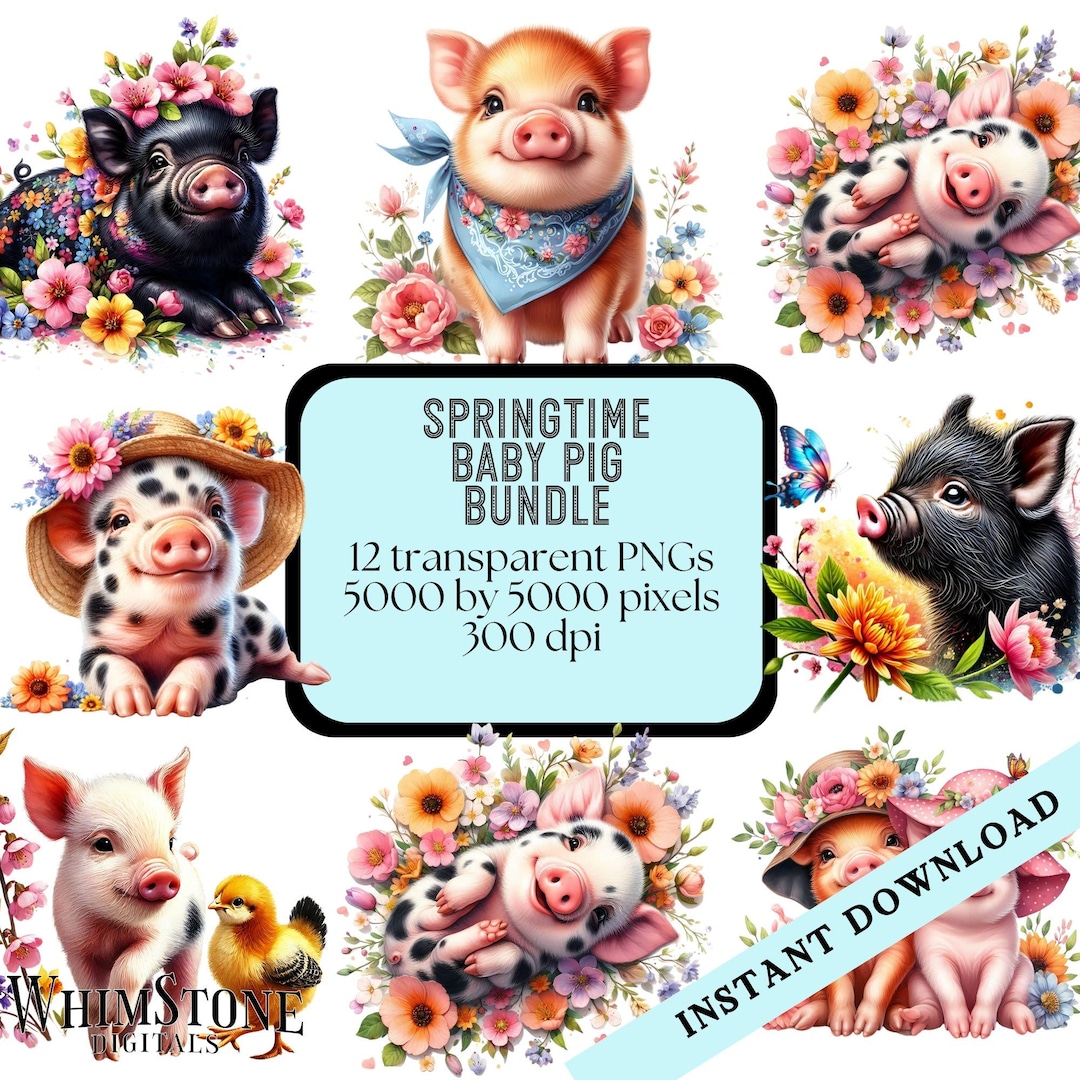 Watercolor Springtime Baby Pigs Clipart Bundle Cute Floral Pigs PNG ...