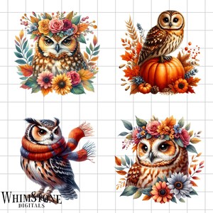 Owls in Autumn Clipart Bundle, Autumn PNG Bundle, Fall Owls Pngs, Owl ...