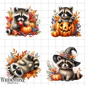 Racoons in Autumn Clipart Bundle, Autumn PNG Bundle, Fall Raccoons Pngs ...