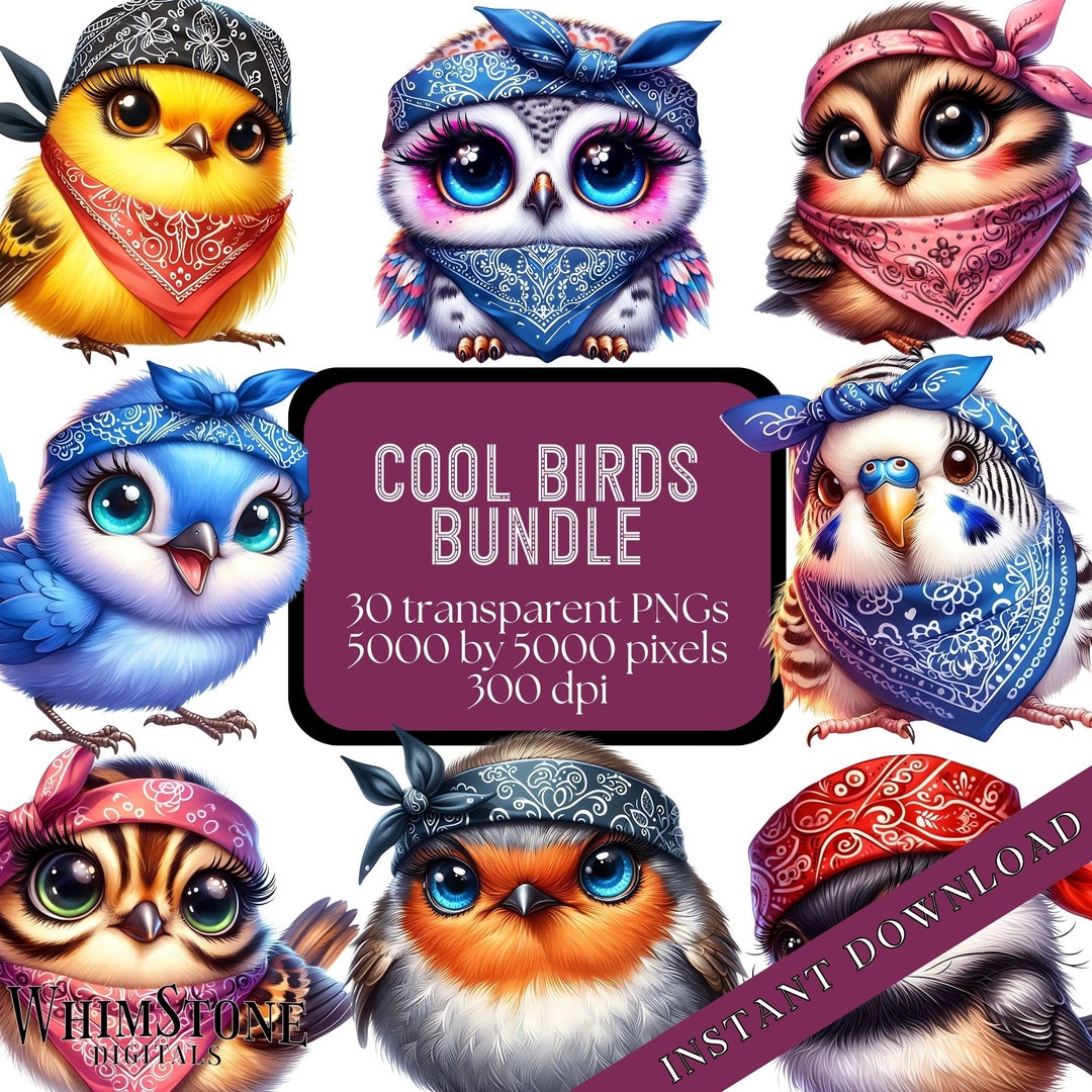 Cool Bird Clipart Bundle, Birds With Bandanas Pngs, Birds With Attitude ...
