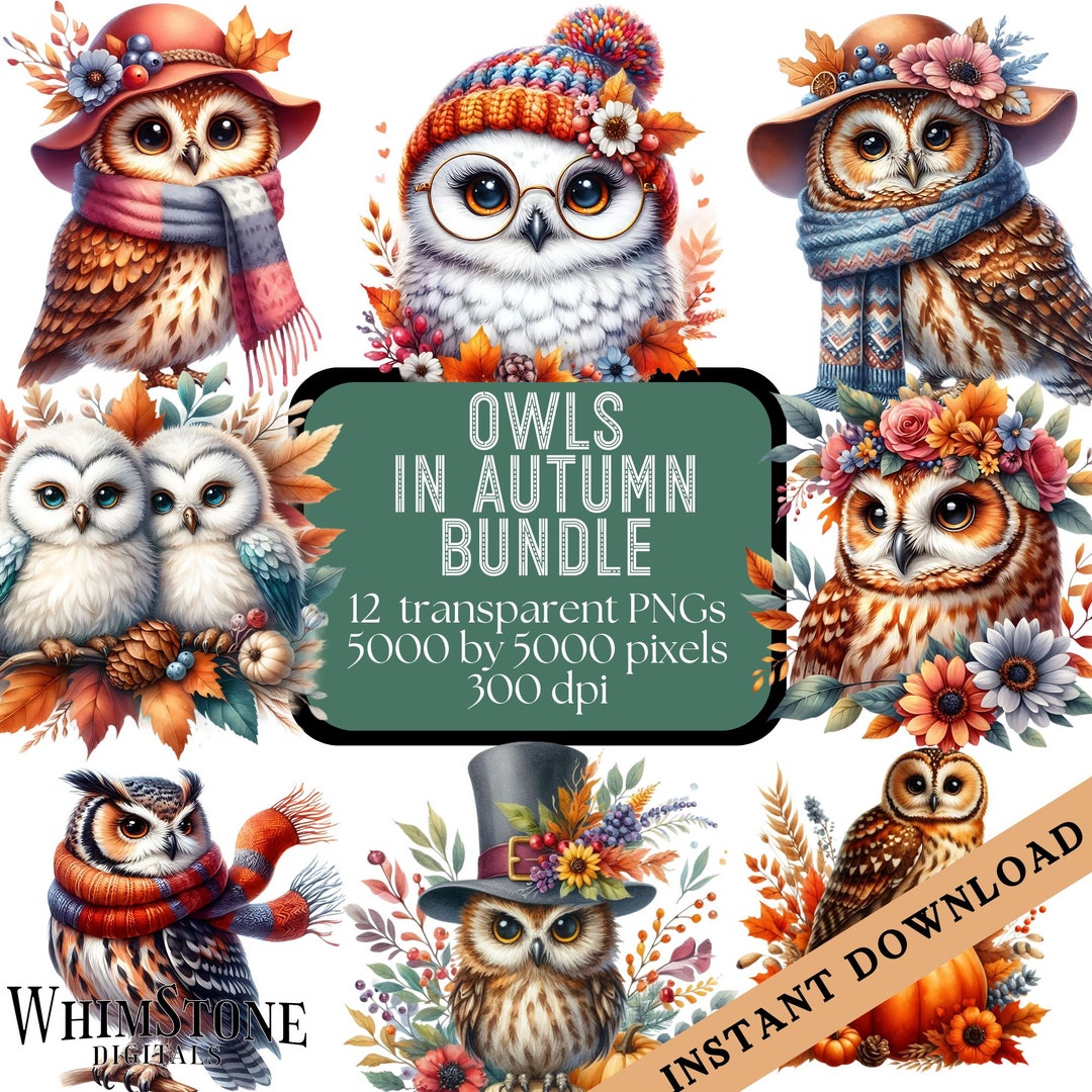 Owls in Autumn Clipart Bundle, Autumn PNG Bundle, Fall Owls Pngs, Owl ...