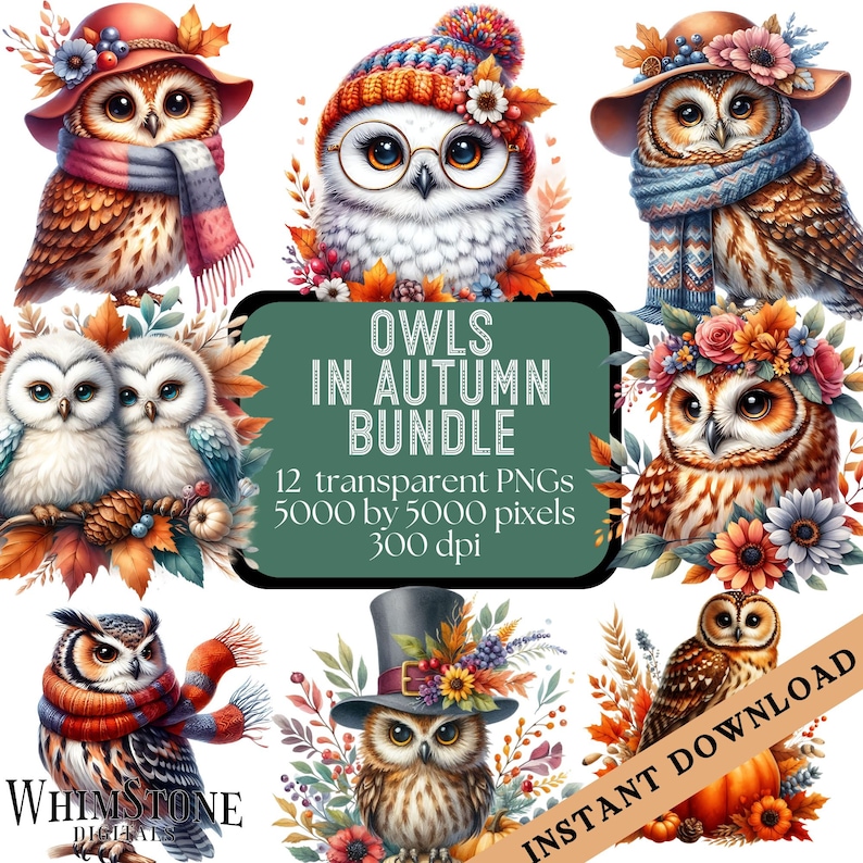 Owls in Autumn Clipart Bundle, Autumn PNG Bundle, Fall Owls Pngs, Owl ...