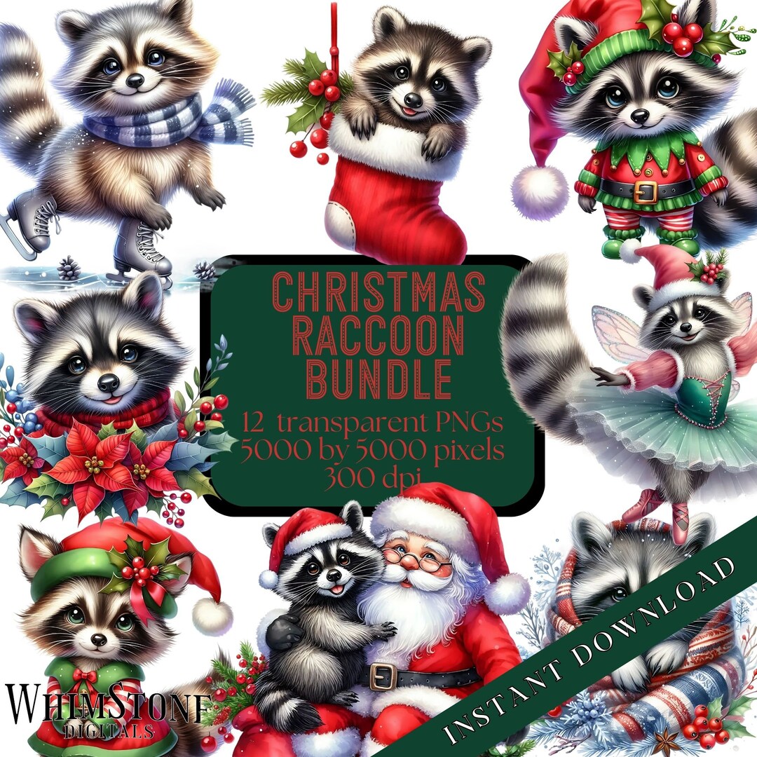 Christmas Raccoon Clipart Bundle, Christmasy Raccoons PNG Bundle ...