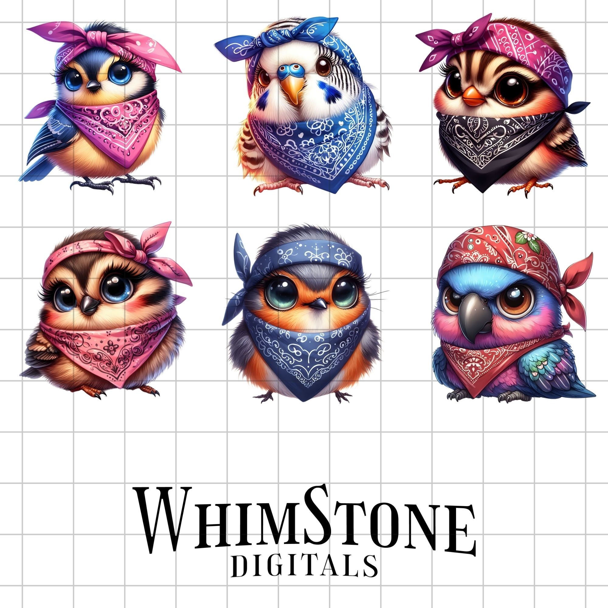 Cool Bird Clipart Bundle, Birds With Bandanas Pngs, Birds With Attitude ...