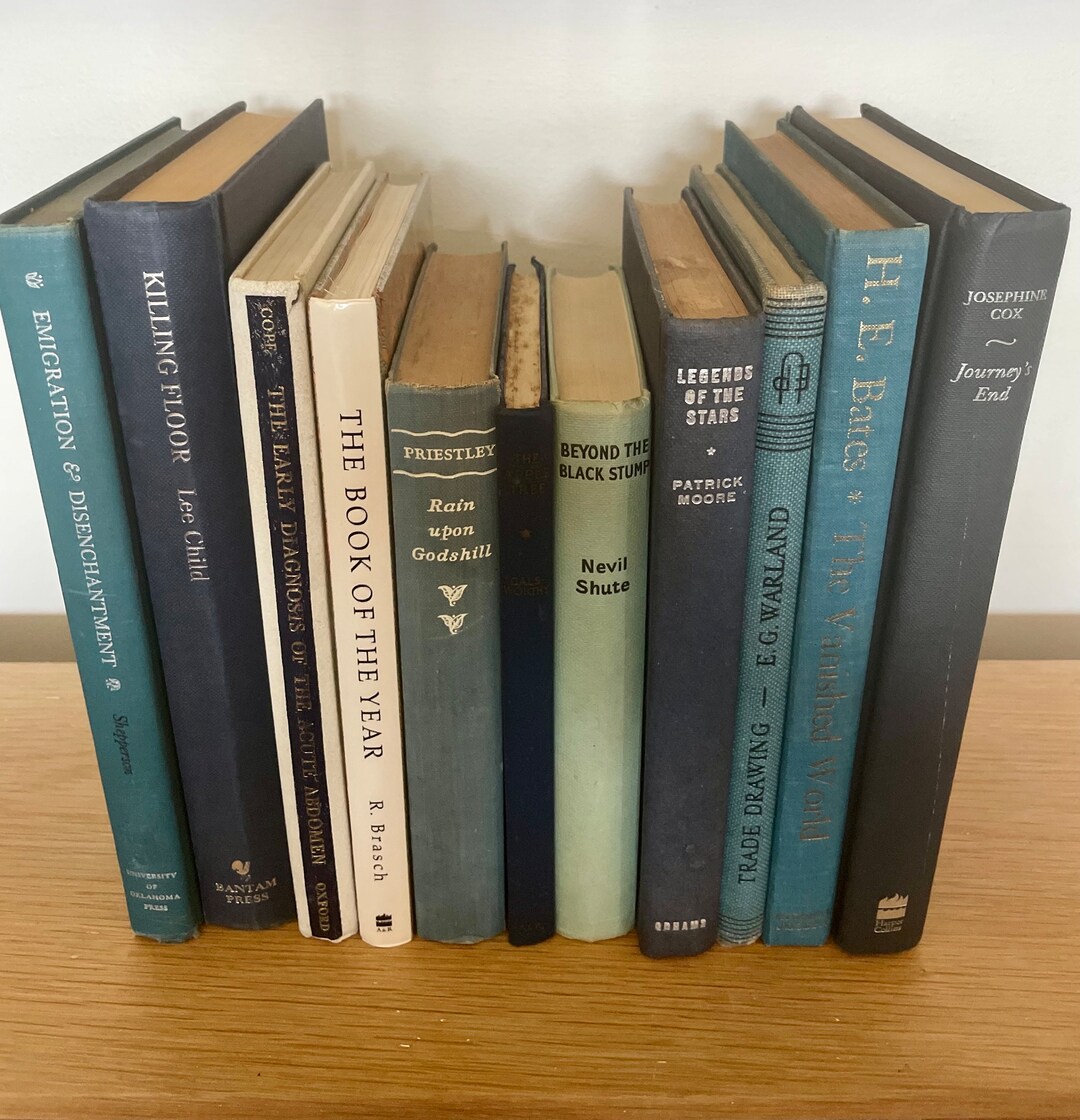 Decorative Display Book Stack Blue Tones Vintage Home Decor, Book Shelf ...