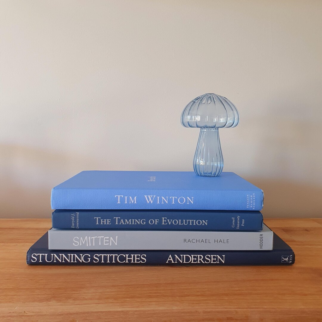 Blue & White Display Book Stack Calming Coastal Home Decor, Coffee ...