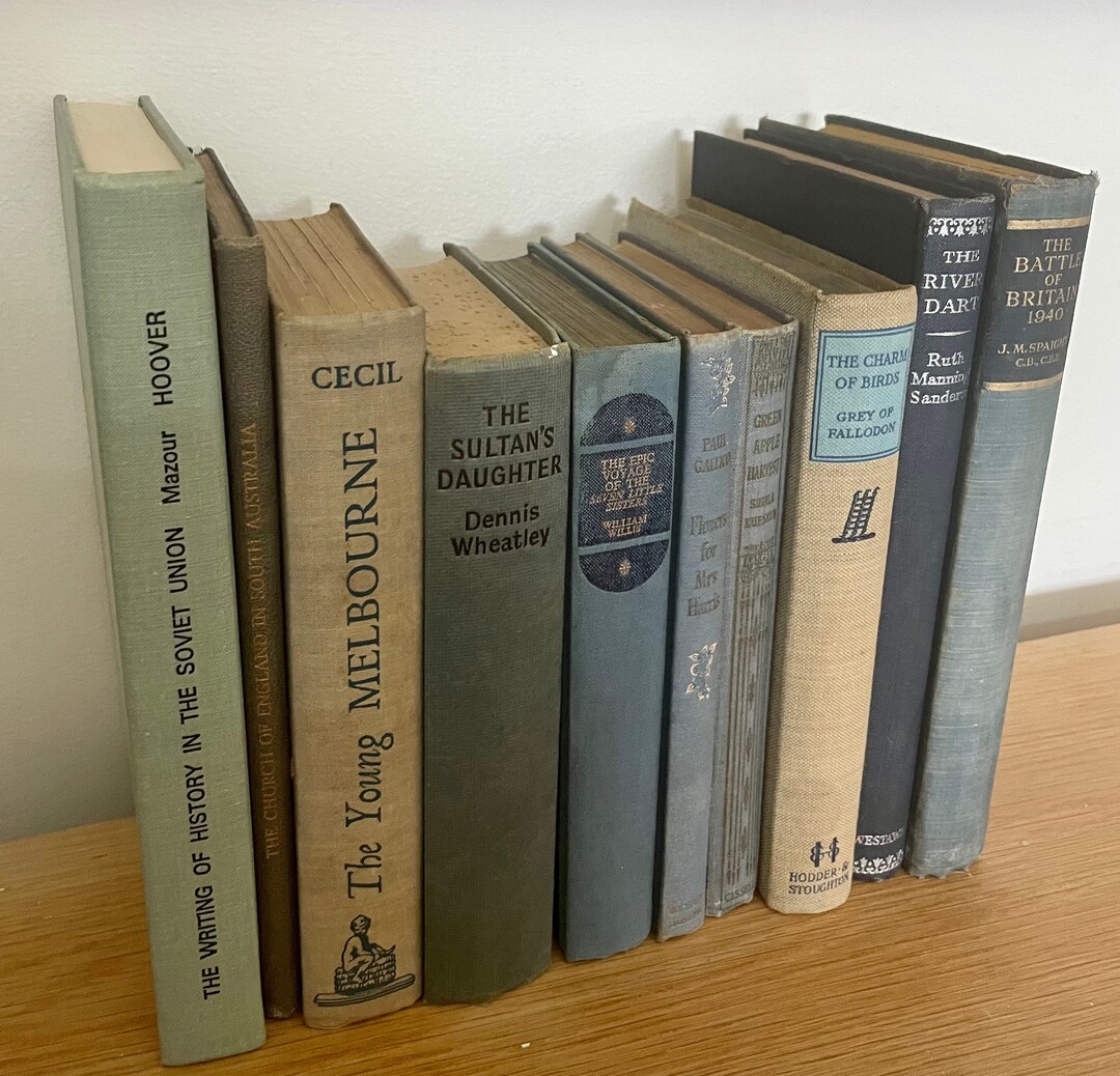 Decorative Display Book Stack Blue Tones Vintage Home Decor, Book Shelf ...