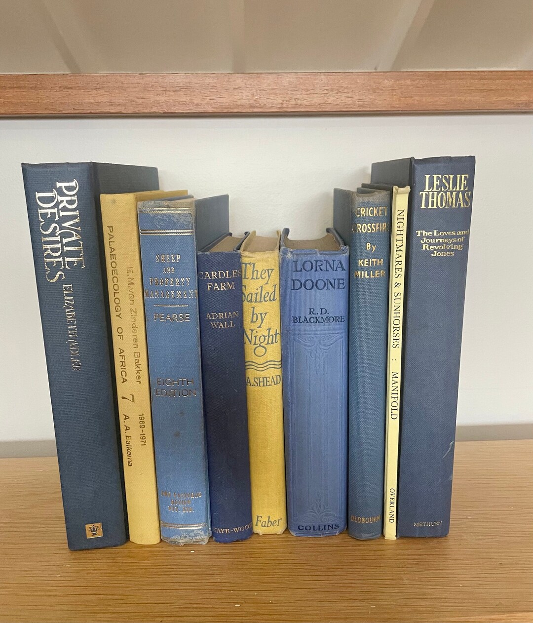 Decorative Display Book Stack Blue Tones Vintage Home Decor, Book Shelf ...