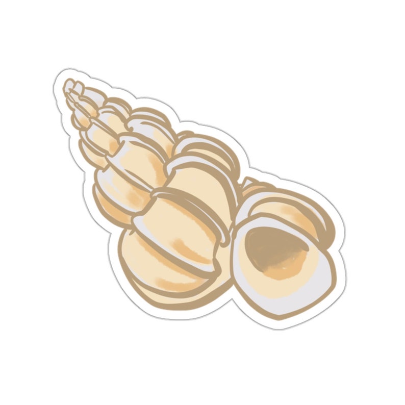 Seashell Kiss-cut Stickers Shell Sticker Seashell Sticker Ocean Sticker ...