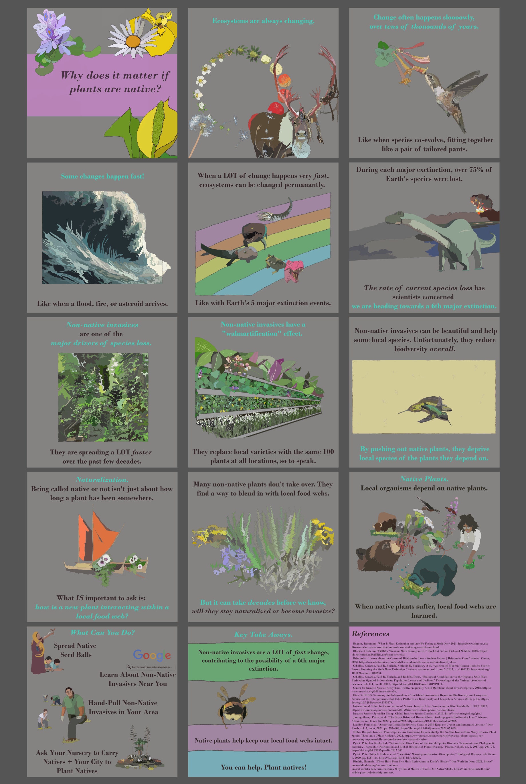 Native Plant Poster Educational Art - Etsy