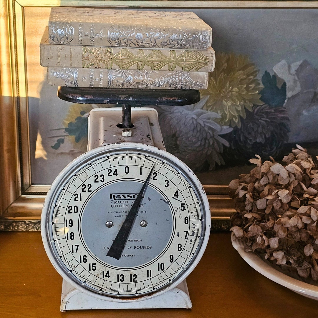 Vintage Hanson Scale Model 2000 Utility Scale Chippy White - Etsy