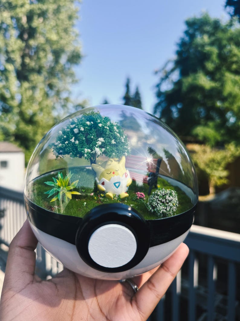 Togepi Pokémon Terrarium Pokeball Environment/terrarium/ Large - Etsy