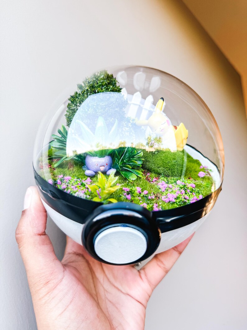Special Edition Oddish Pikachu Pokémon Terrarium Pokeball Environment ...