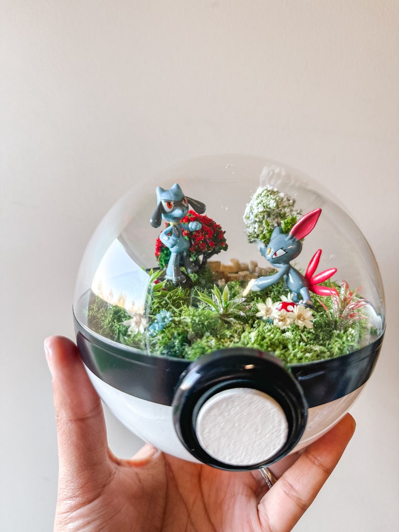 Mega Custom Orders Terrarium Pokeball Environment/terrarium/extra Large ...