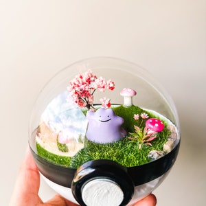 DITTO (large 5.5inch) Pokeball Diorama Terrarium - Etsy