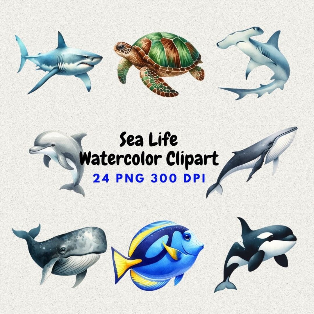 24 Sea Life Watercolor Clipart , Under the Sea Watercolor Clipart , Sea ...
