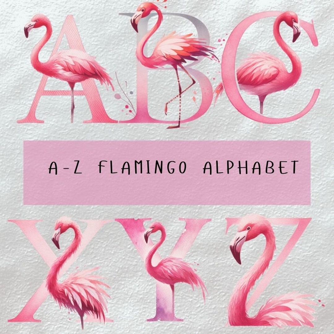 Flamingo Letters PNG Bundle, Flamingo Alphabet PNG Clipart, Flamingo ...