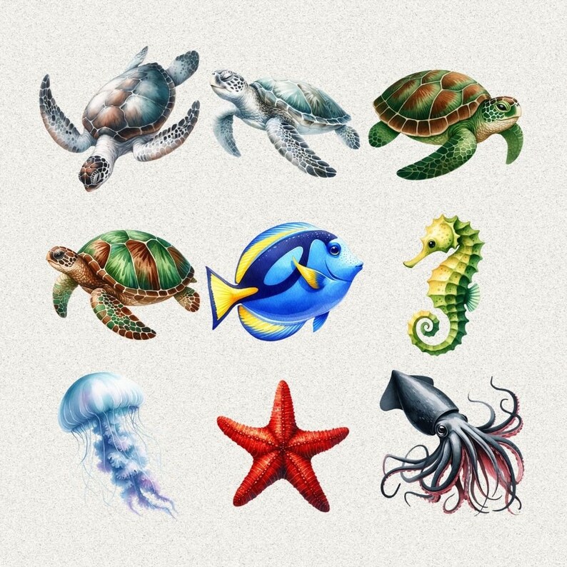 24 Sea Life Watercolor Clipart , Under the Sea Watercolor Clipart , Sea ...