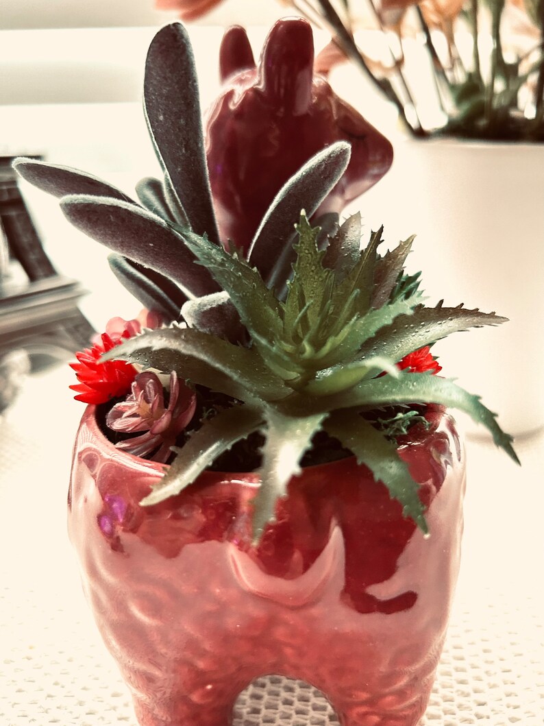 Pretty Red Alpaca - Etsy